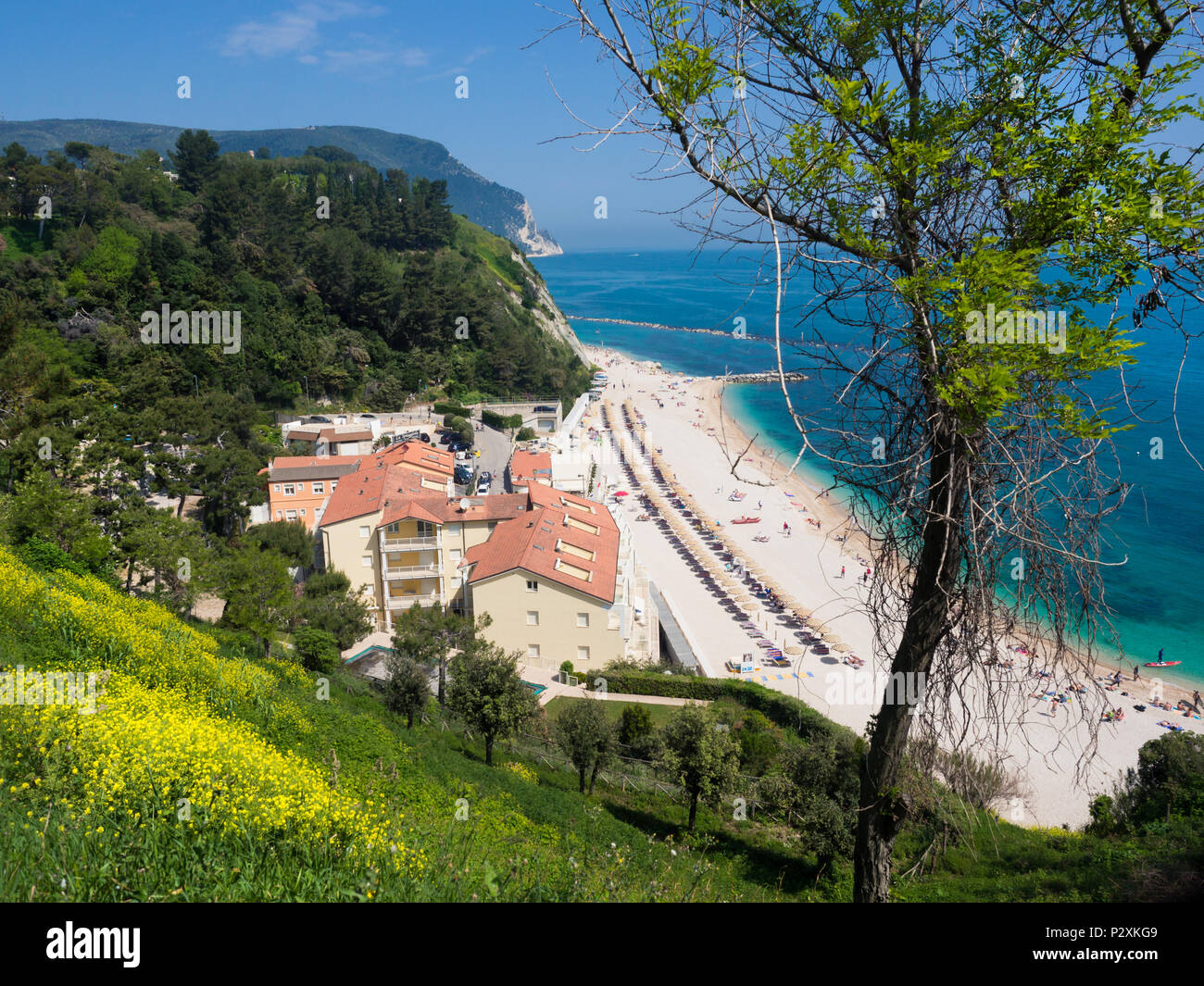 The wonderful and unspoiled beach of Numana, mount Conero, Italy Stock ...