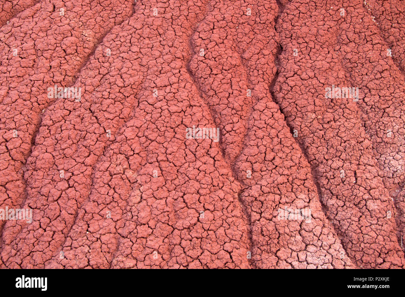 Mud crack fossil hi-res stock photography and images - Alamy