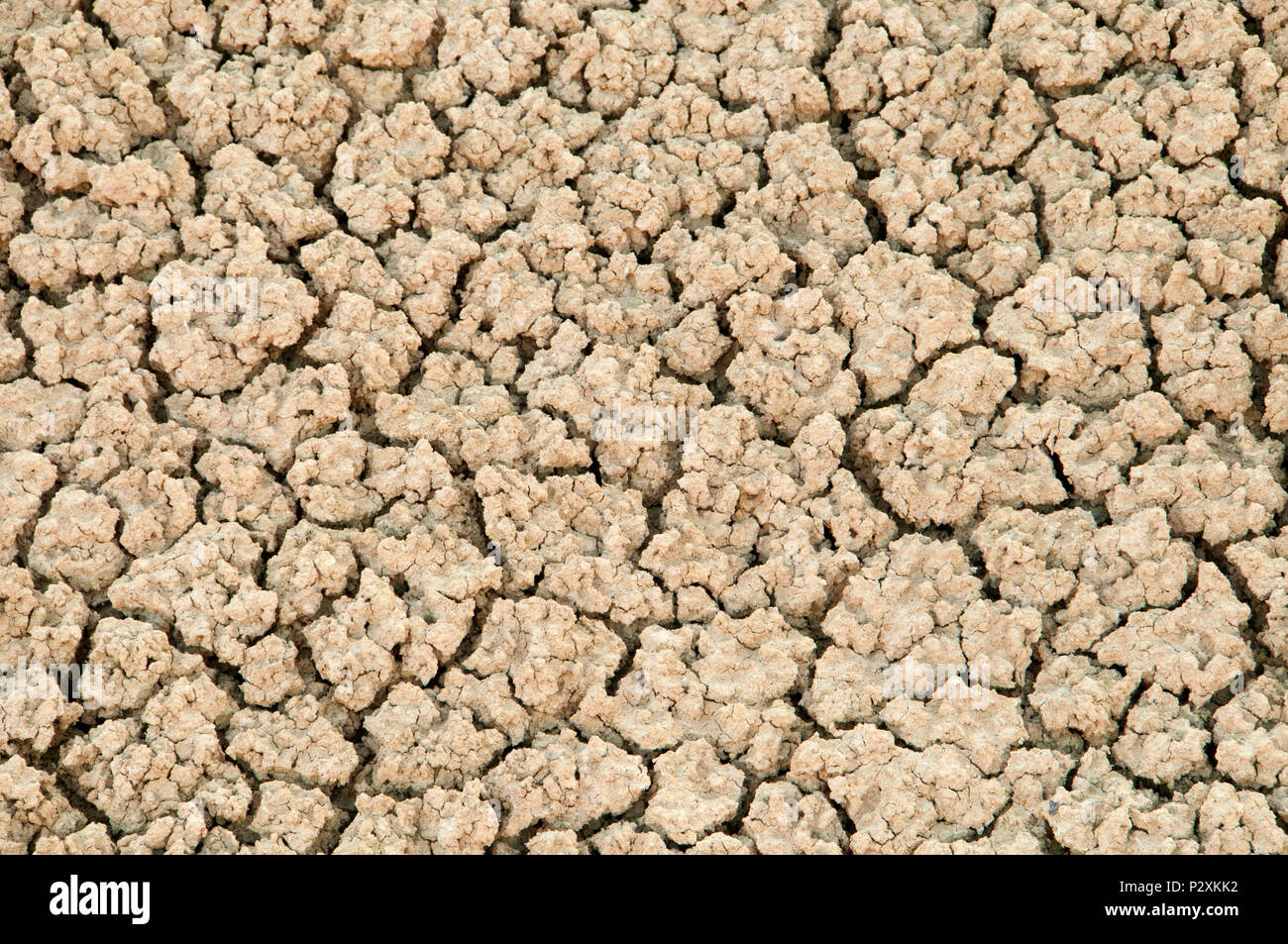 Mud crack fossil hi-res stock photography and images - Alamy