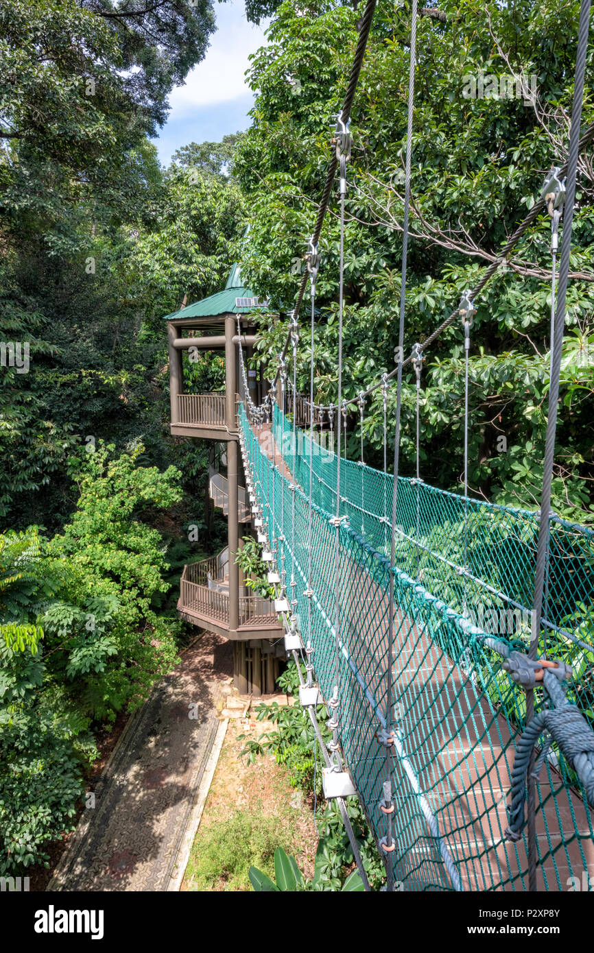 The KL Forest Eco Park Canopy Walk in Kuala Lumpur, Malaysia Stock ...