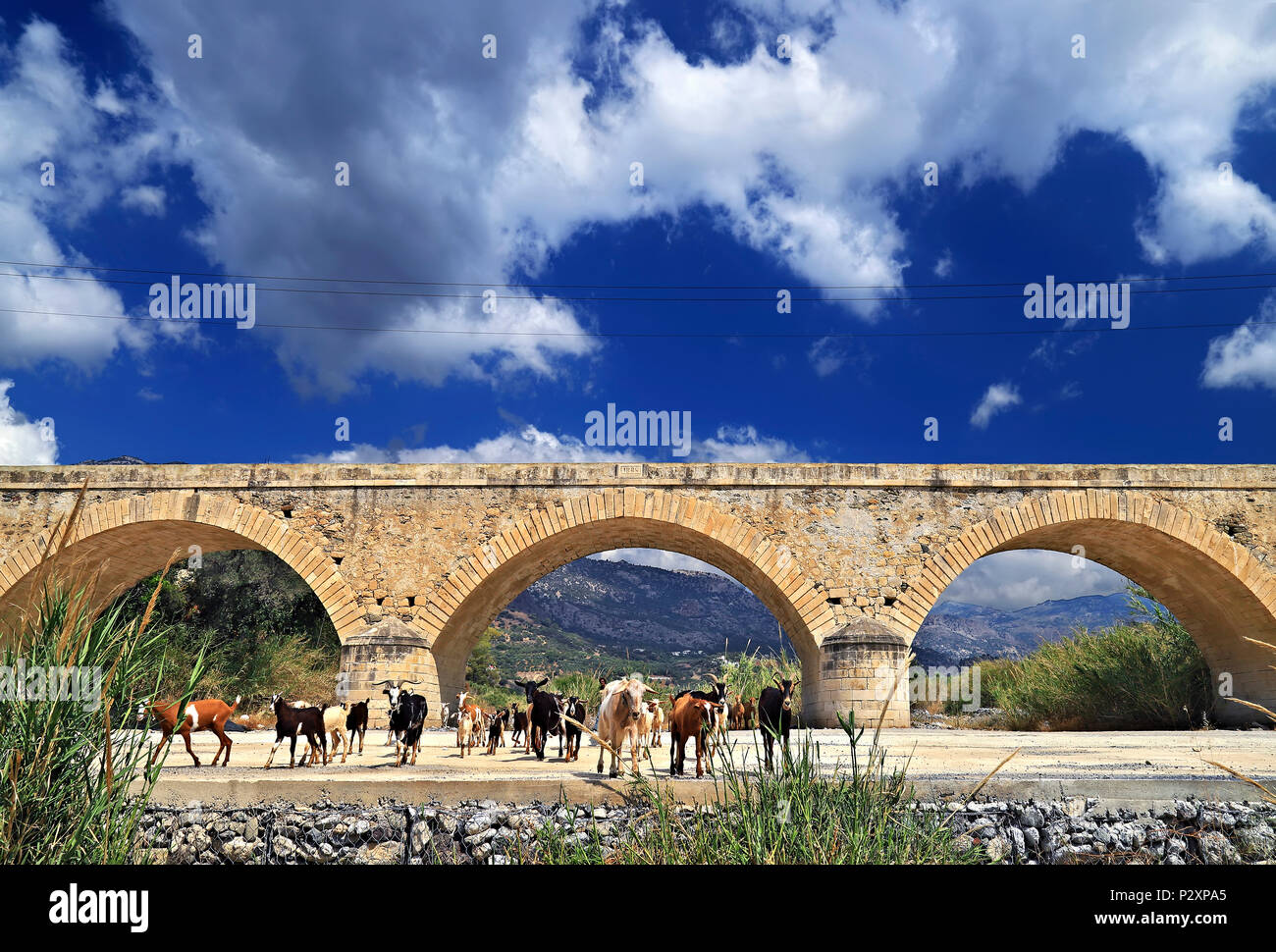 Traditional stone built bridge hi-res stock photography and images - Alamy