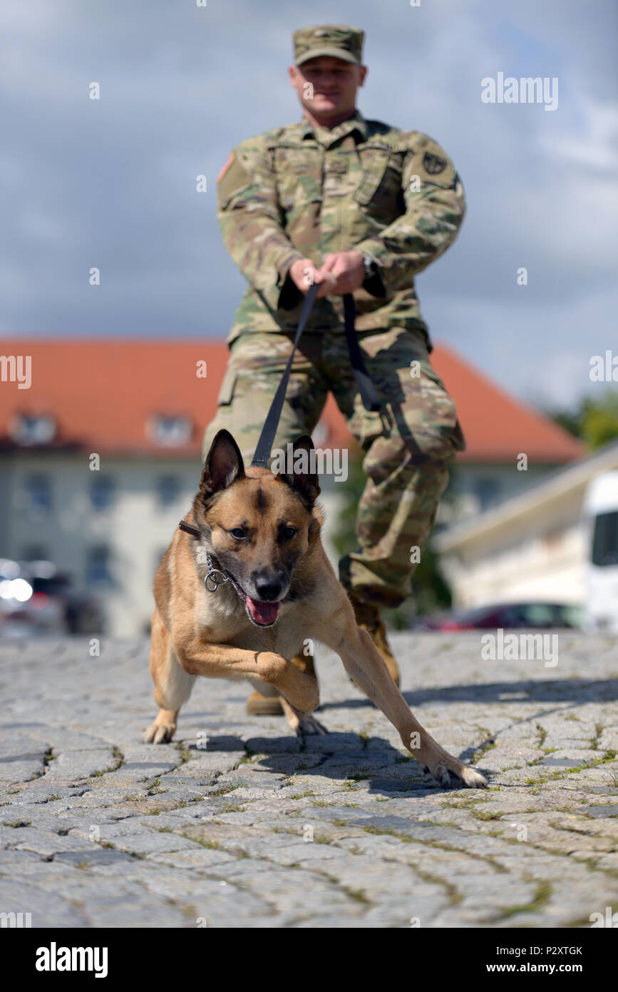 92nd military police company hi-res stock photography and images - Alamy