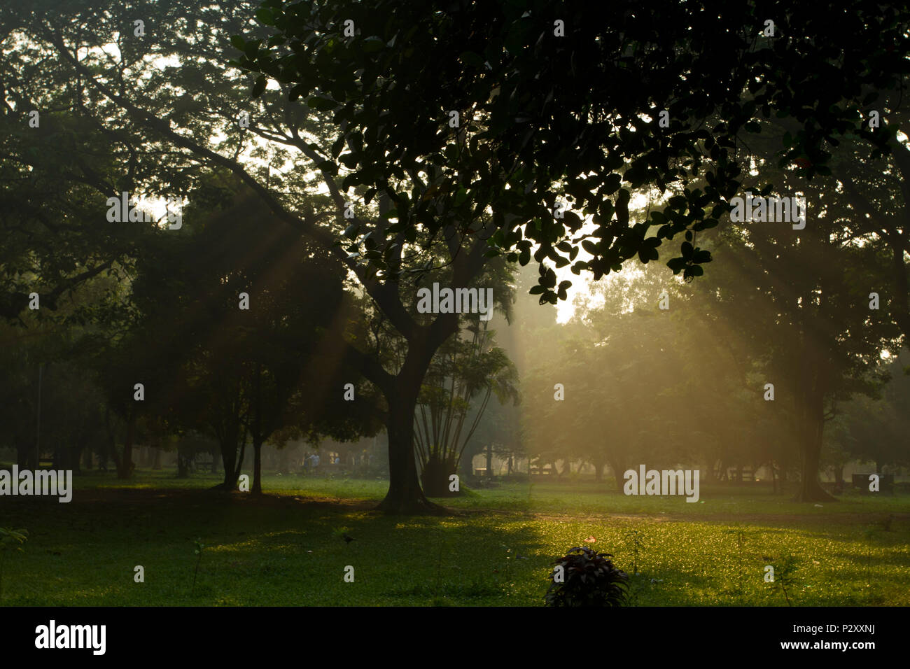 Ramna park hi-res stock photography and images - Alamy