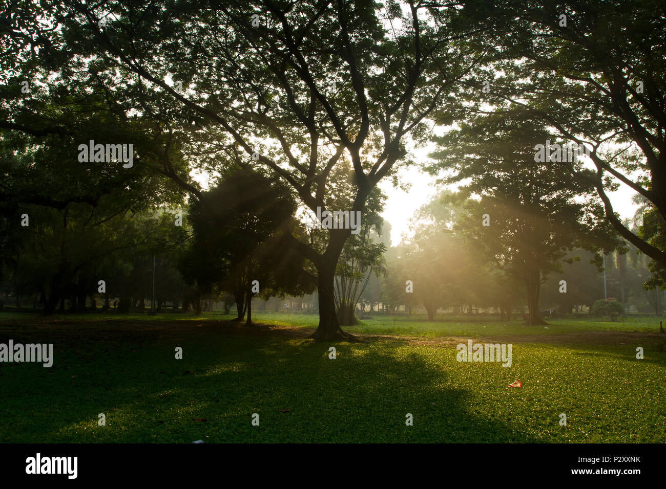 Sun-ray at Ramna Park in Dhaka in a winter morning. Dhaka, Bangladesh Stock Photo - Alamy
