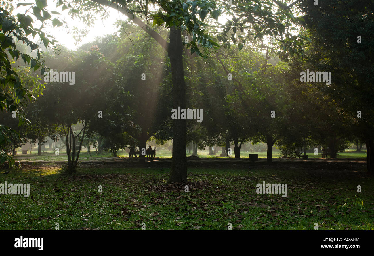 Sun-ray at Ramna Park in Dhaka in a winter morning. Dhaka, Bangladesh Stock Photo - Alamy