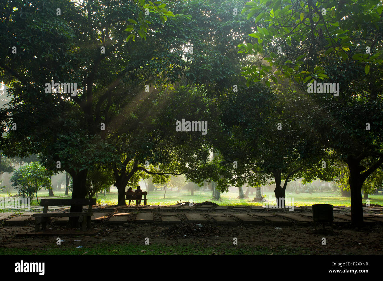 Sun-ray at Ramna Park in Dhaka in a winter morning. Dhaka, Bangladesh Stock Photo - Alamy