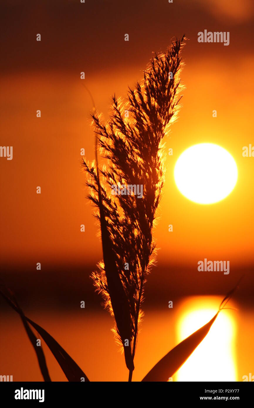 Burning sun hi-res stock photography and images - Alamy