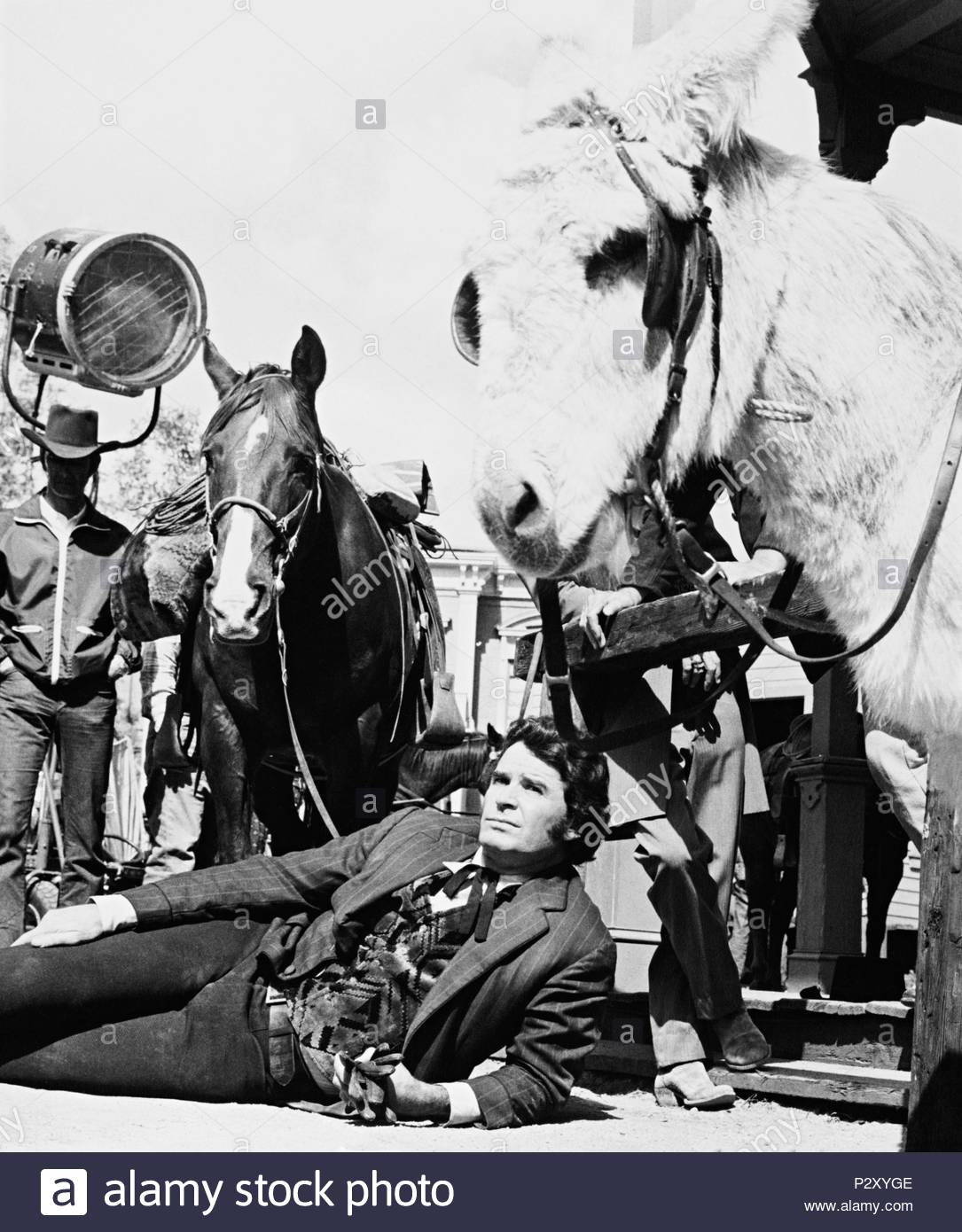 Paul Garner Stock Photos & Paul Garner Stock Images - Alamy