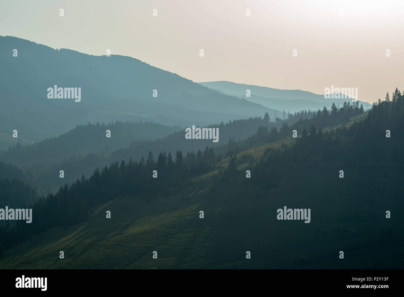 Panoramic view misty forest far hi-res stock photography and images - Alamy