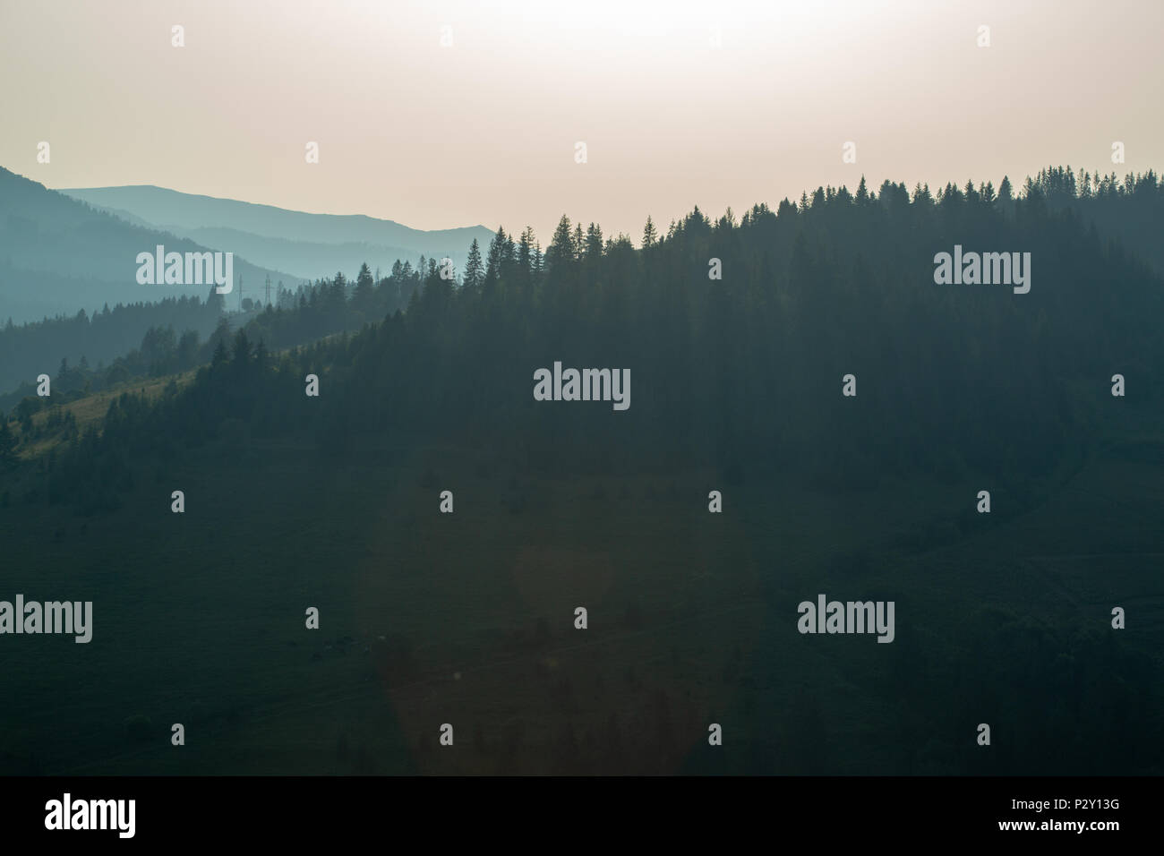 Panoramic view misty forest far hi-res stock photography and images - Alamy