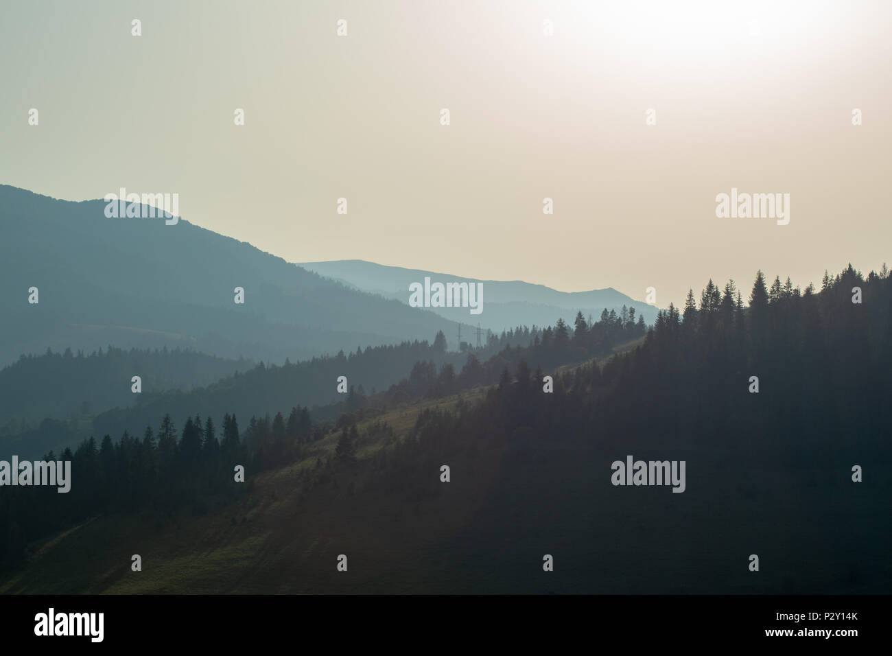 Panoramic view misty forest far hi-res stock photography and images - Alamy