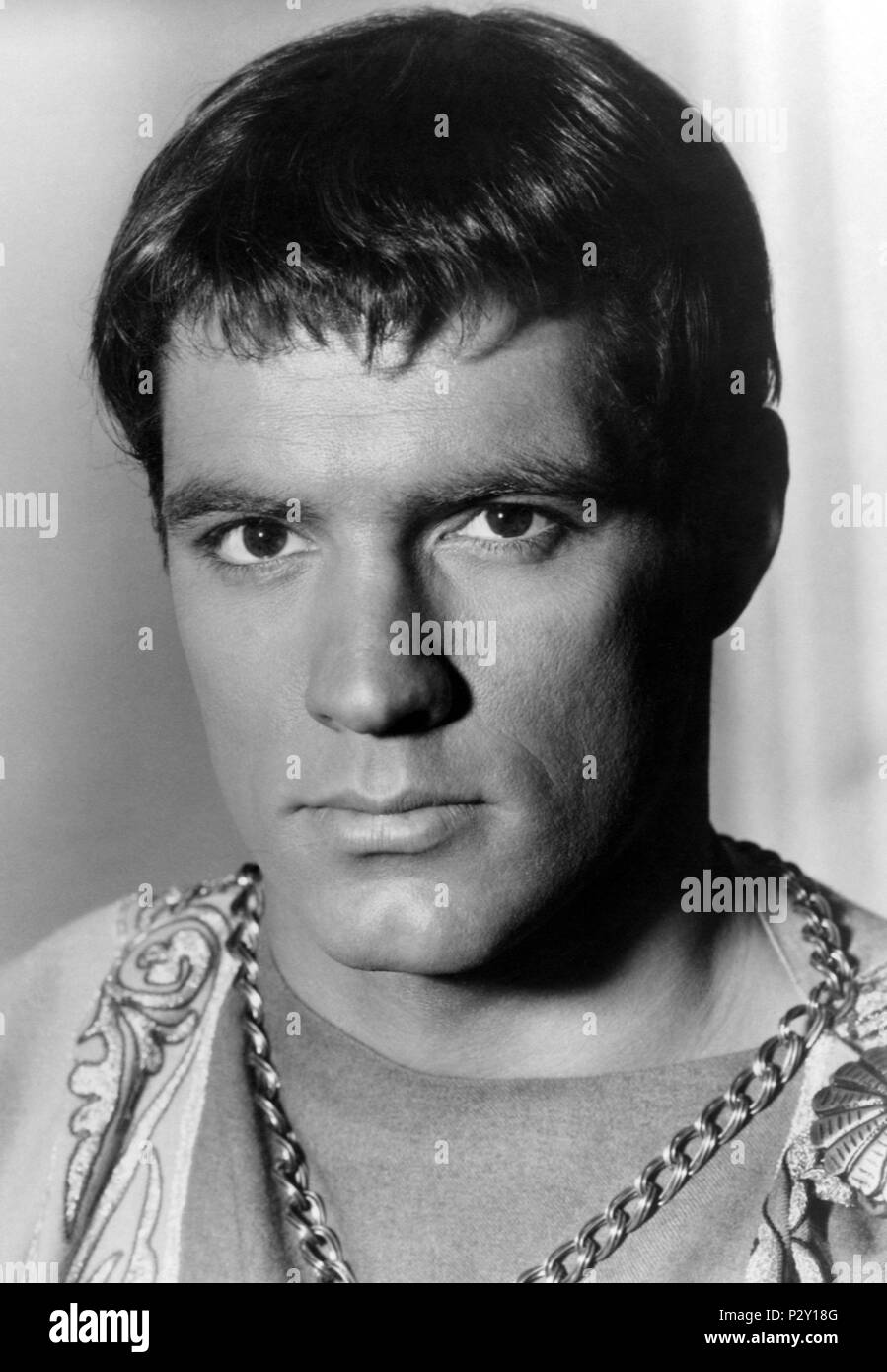 John Gavin Today