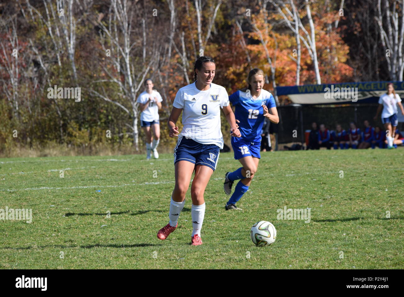 Ryerson High Resolution Stock Photography and Images - Alamy