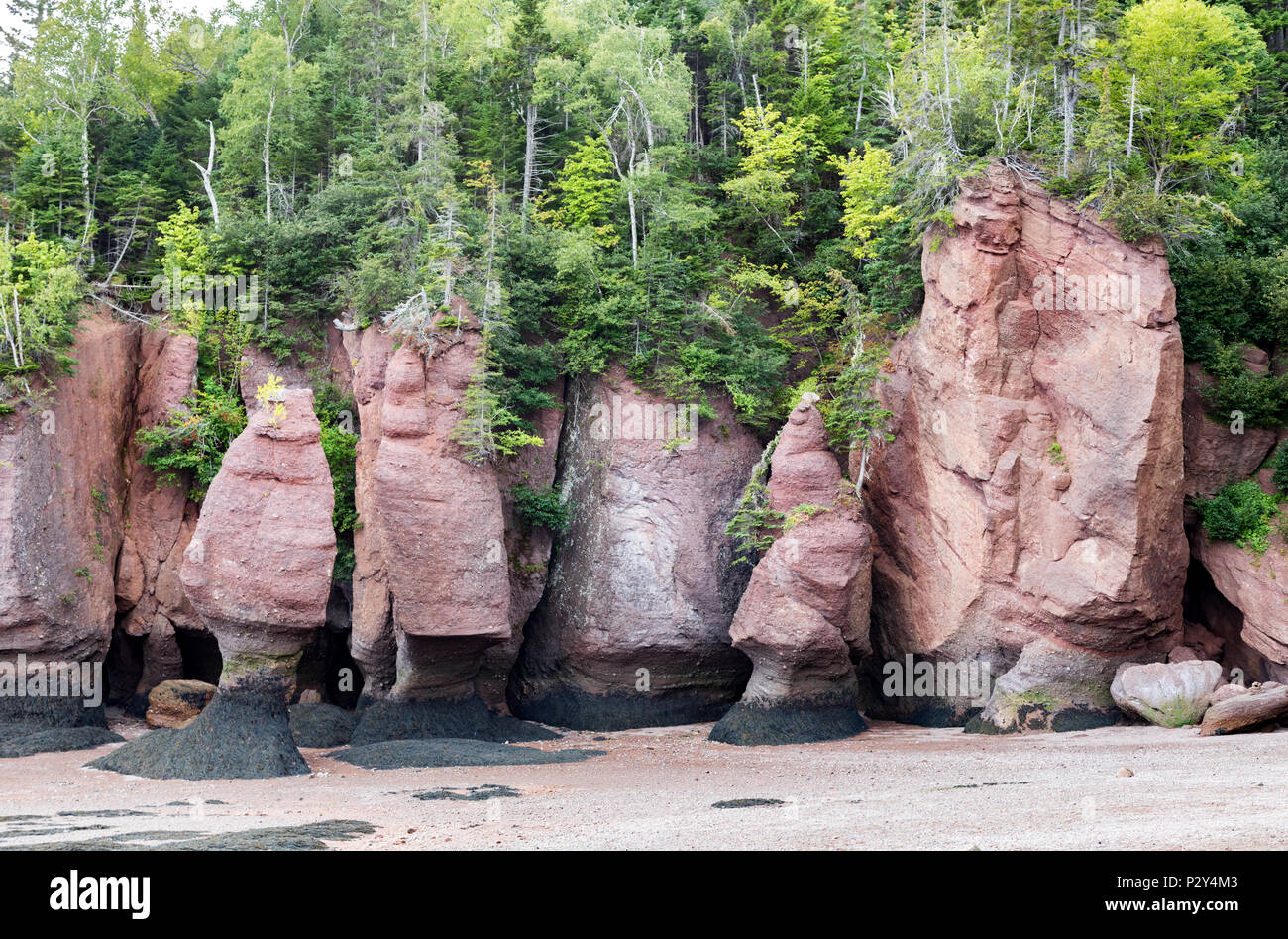 The unusual rock formations at Hopewell Rocks, Bay of Fundy, New ...