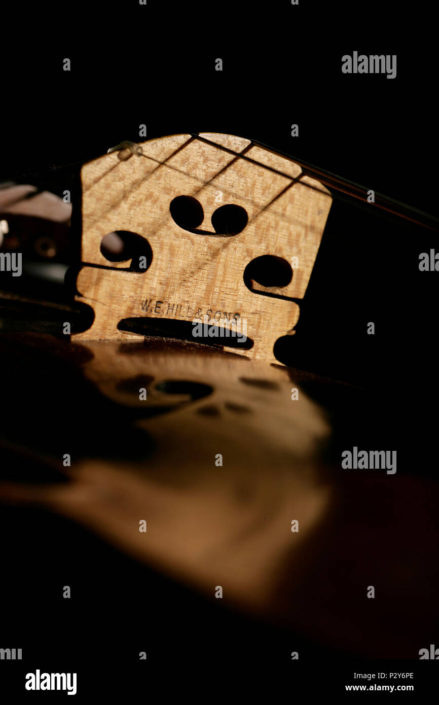 violin bridge with strings,clos up Stock Photo - Alamy