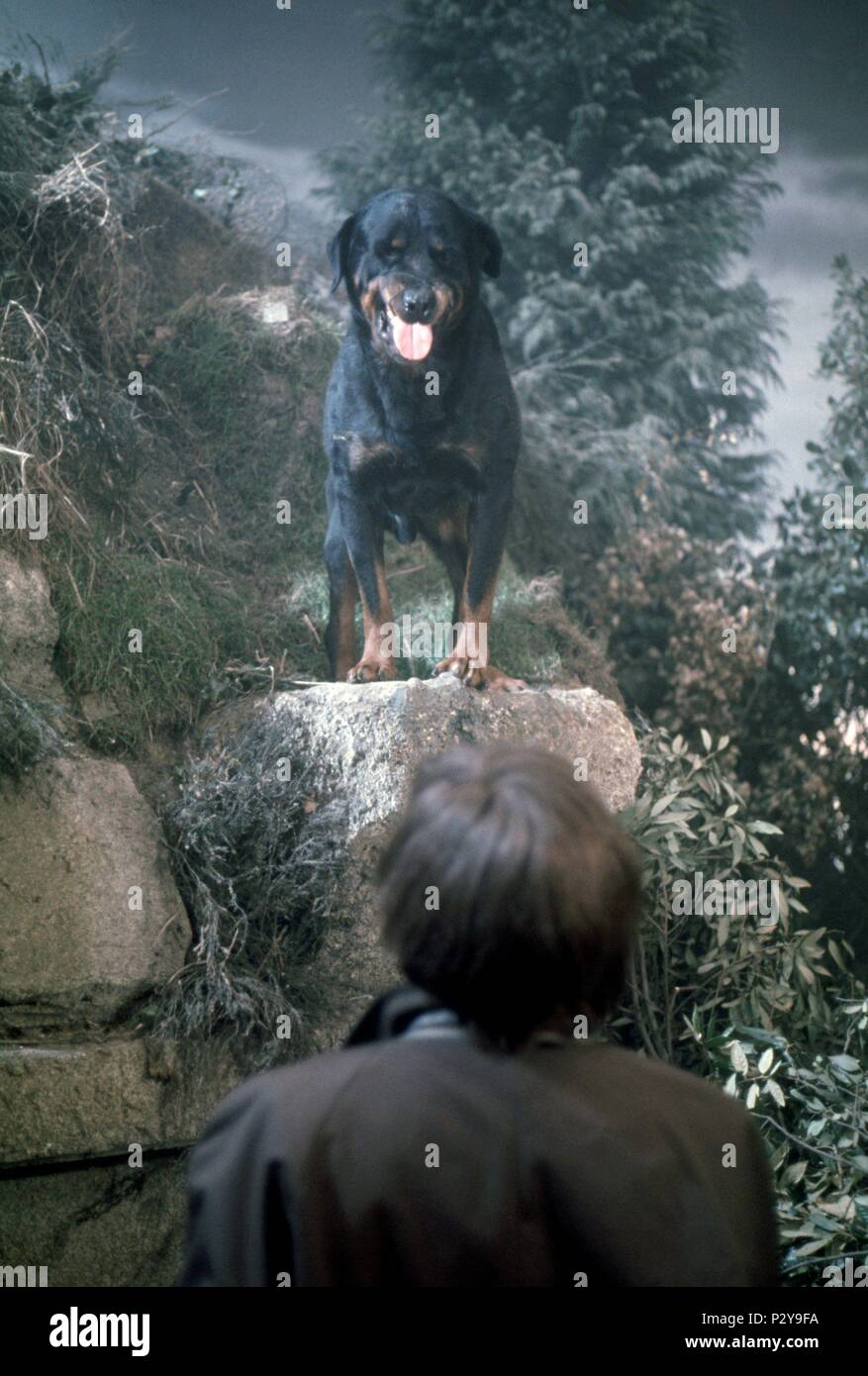 Omen 1976 hi-res stock photography and images - Alamy