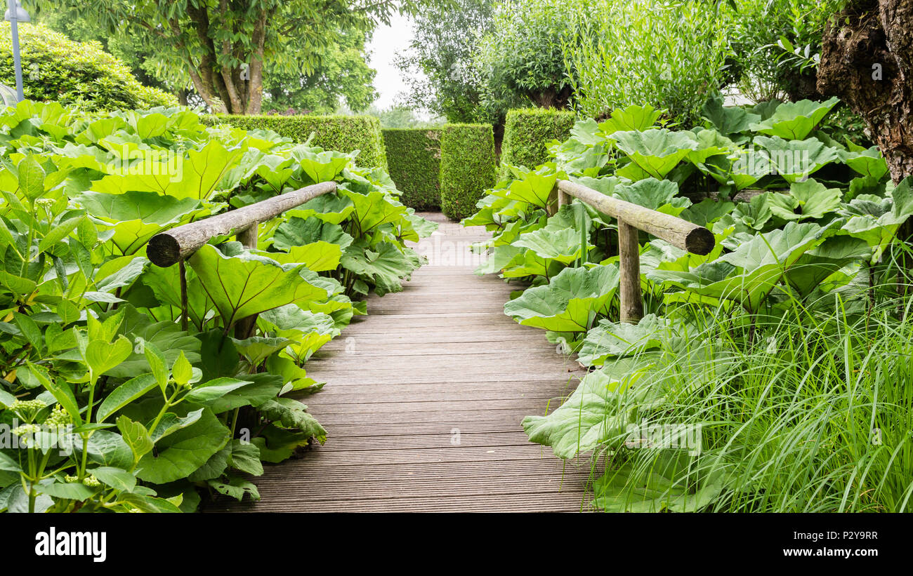 Natural wooden garden bridge Stock Photo - Alamy