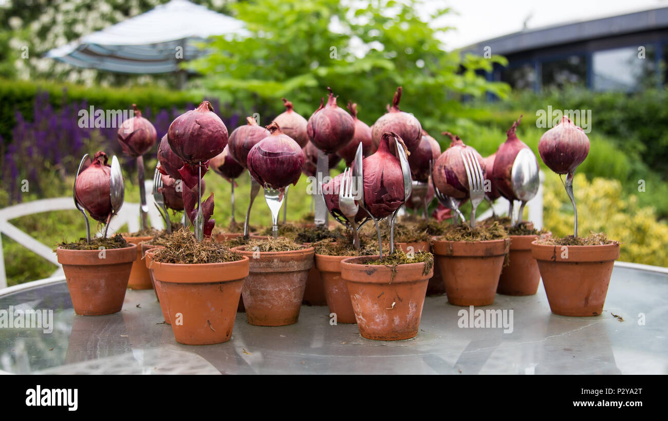 Garden decoration with onions Stock Photo - Alamy
