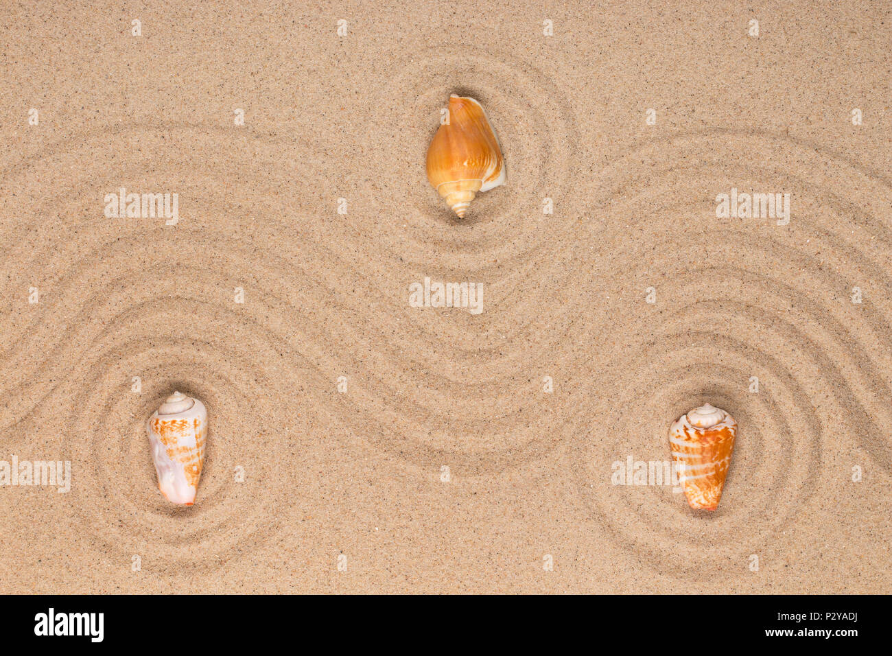 Three sea shell lying in the center of a circles made of sand. With ...