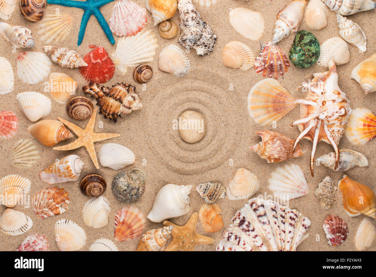 White stone lies in the center of the circle, frame of seashells and ...