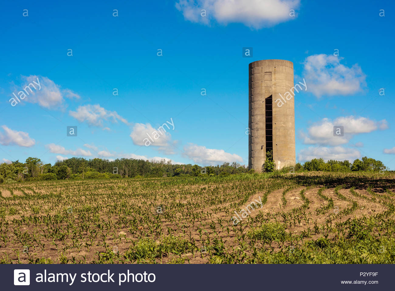 Historic Grain Silo High Resolution Stock Photography and Images - Alamy
