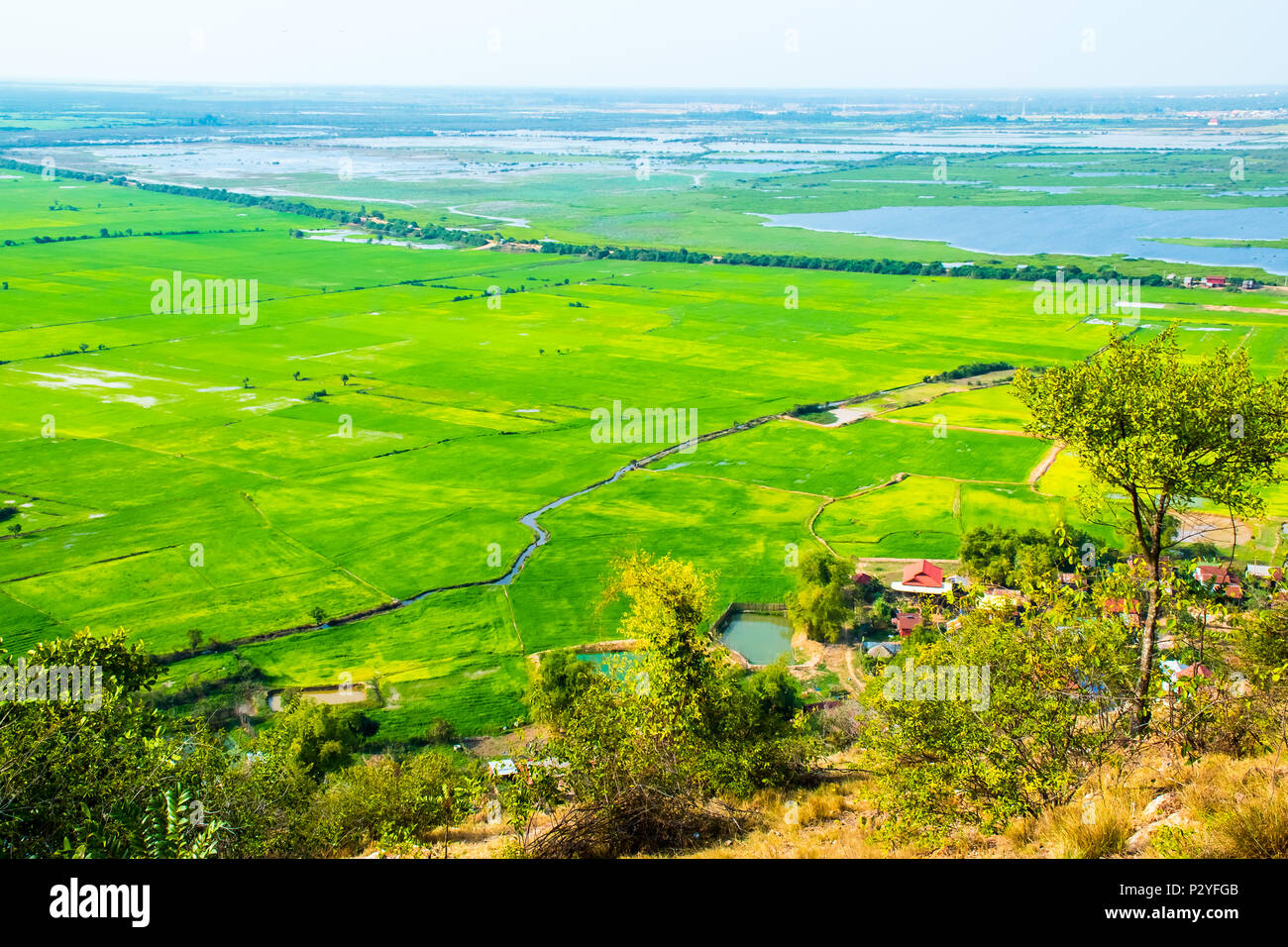 Landscape rice field siem reap hi-res stock photography and images - Alamy