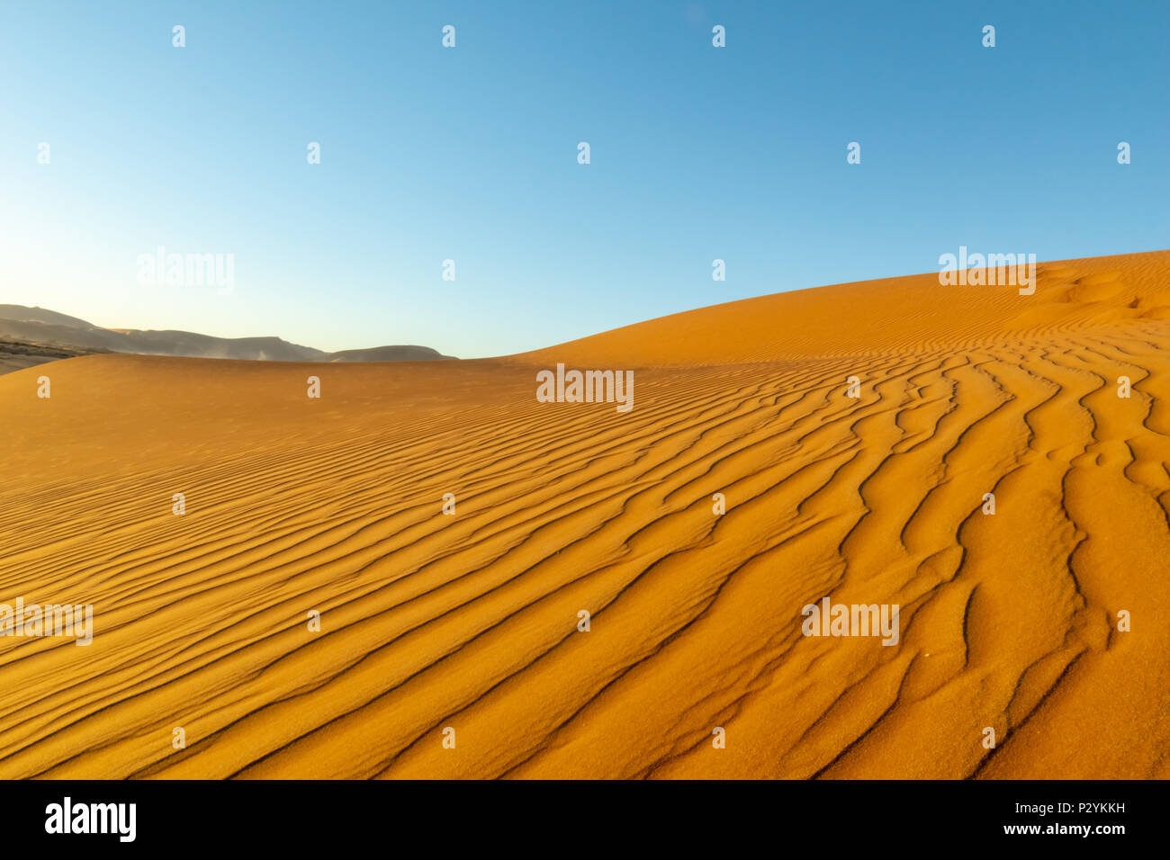 Long wind formed ripples with shadow defined edges in dunes of Hidden ...