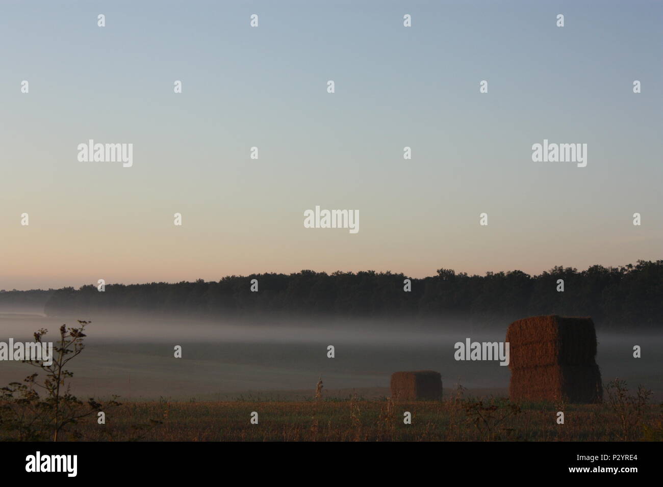 Out of The Mist Stock Photo - Alamy