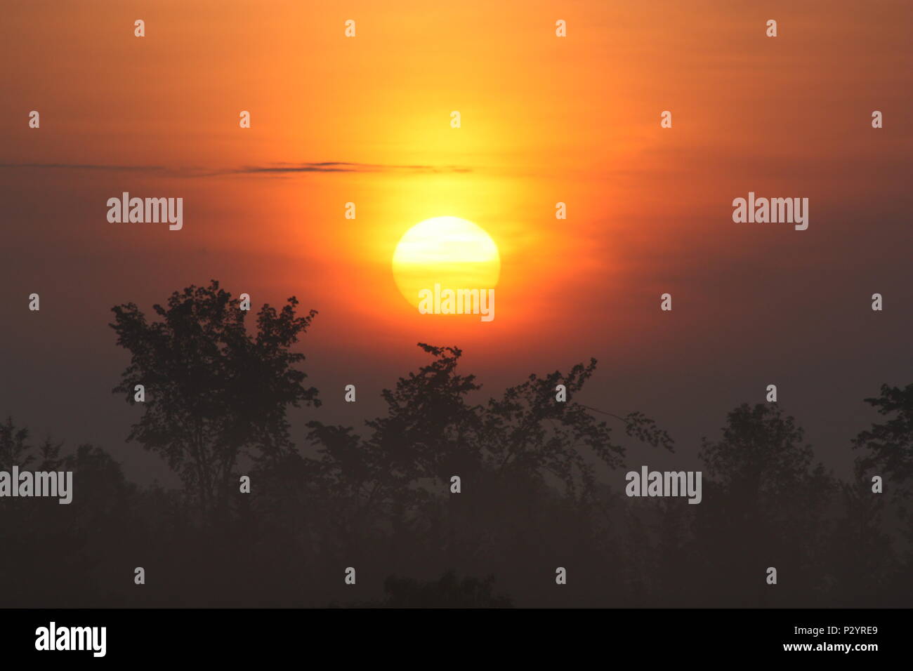 Out of The Mist Stock Photo - Alamy