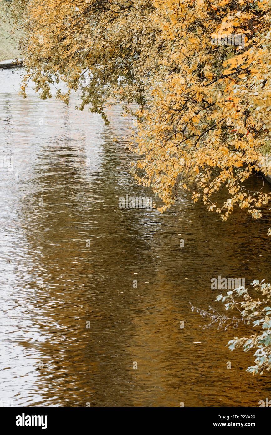 Autumn landscape with river and trees Stock Photo - Alamy