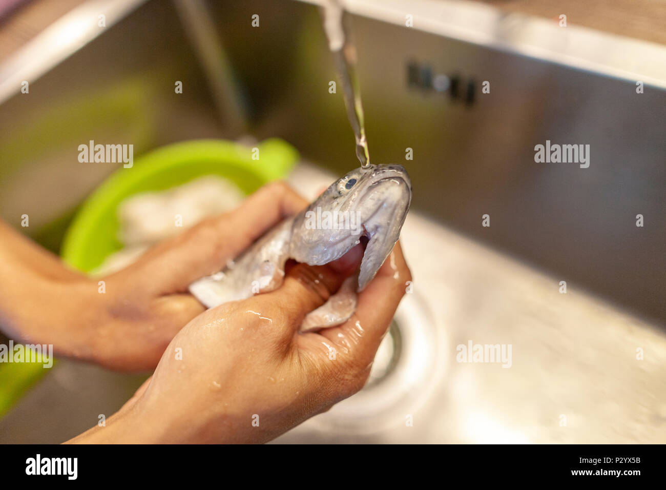 A human washes a fresh fish under water Stock Photo - Alamy
