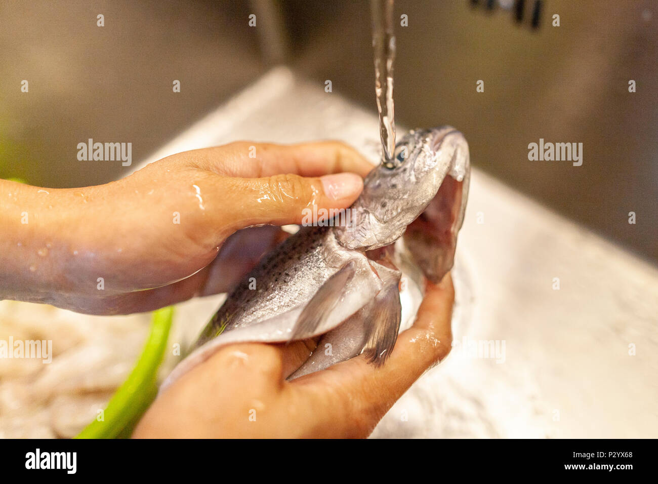 Fish eating under water hi-res stock photography and images - Alamy