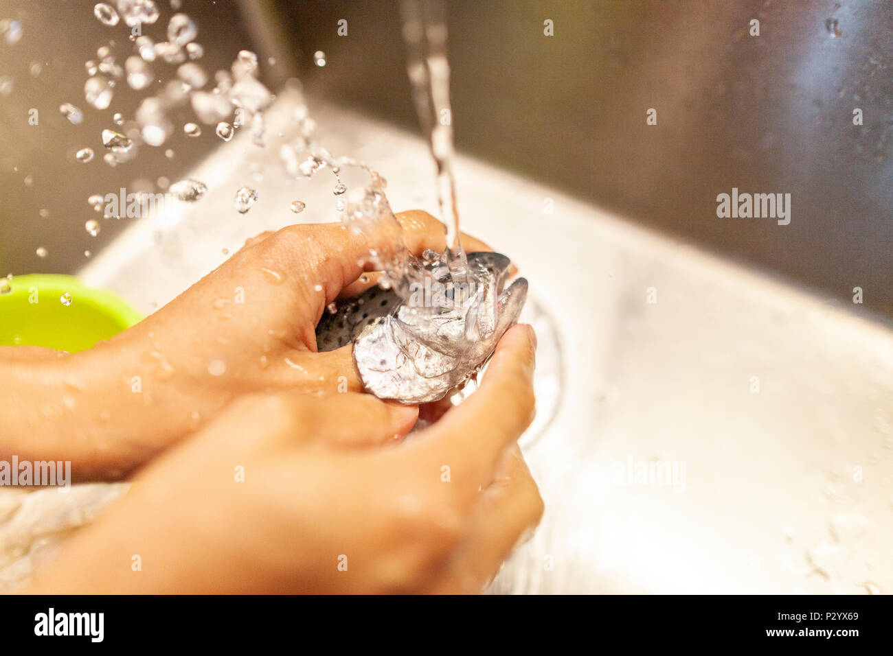 A human washes a fresh fish under water Stock Photo - Alamy