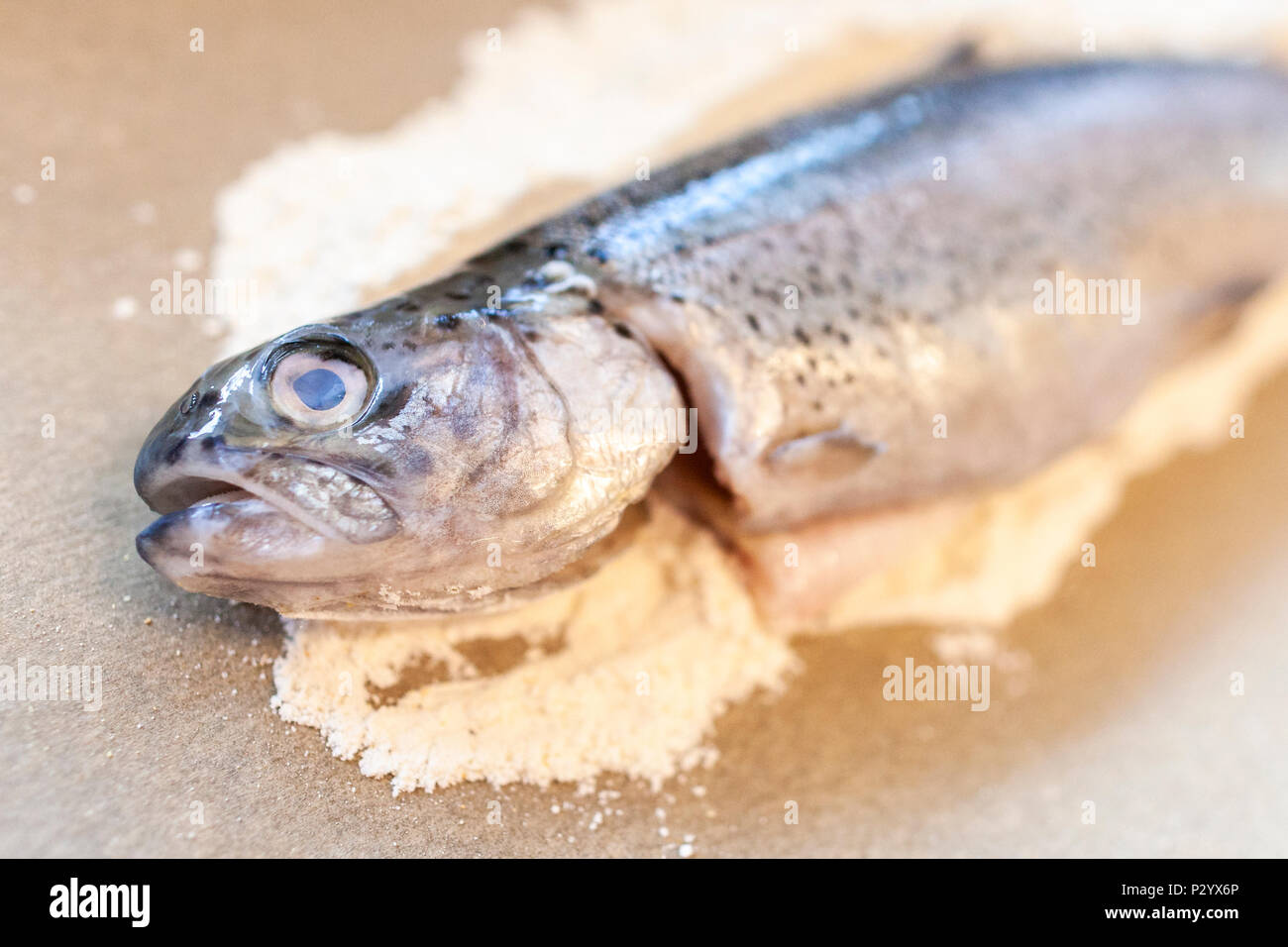 Fresh fish kitchen hi-res stock photography and images - Alamy