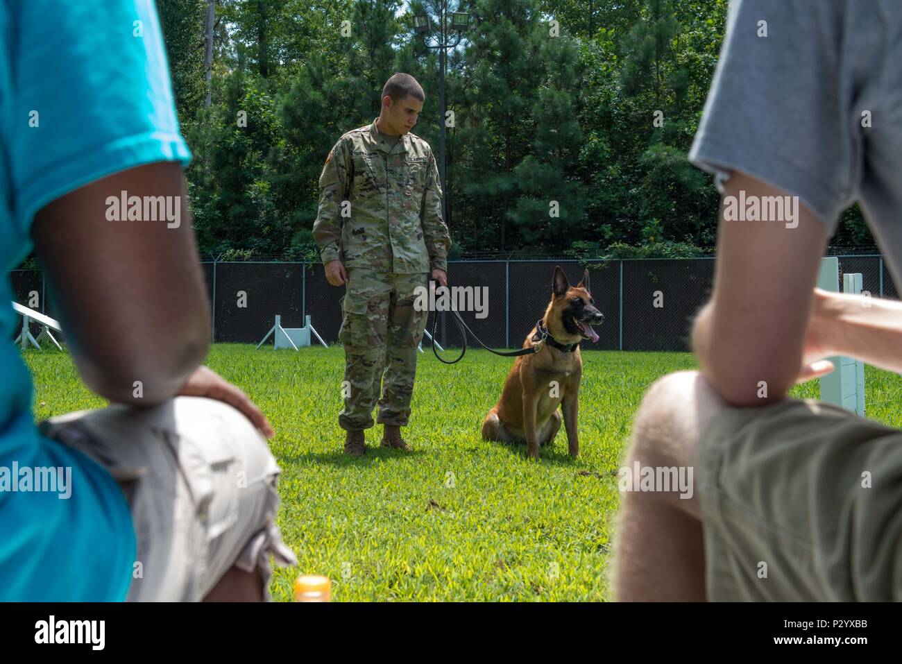 733rd security forces hi-res stock photography and images - Alamy
