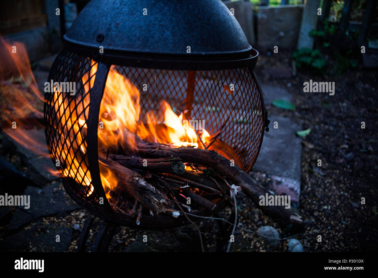 Closeup view on open fire flames. Burning bonfire in the metal housing ...