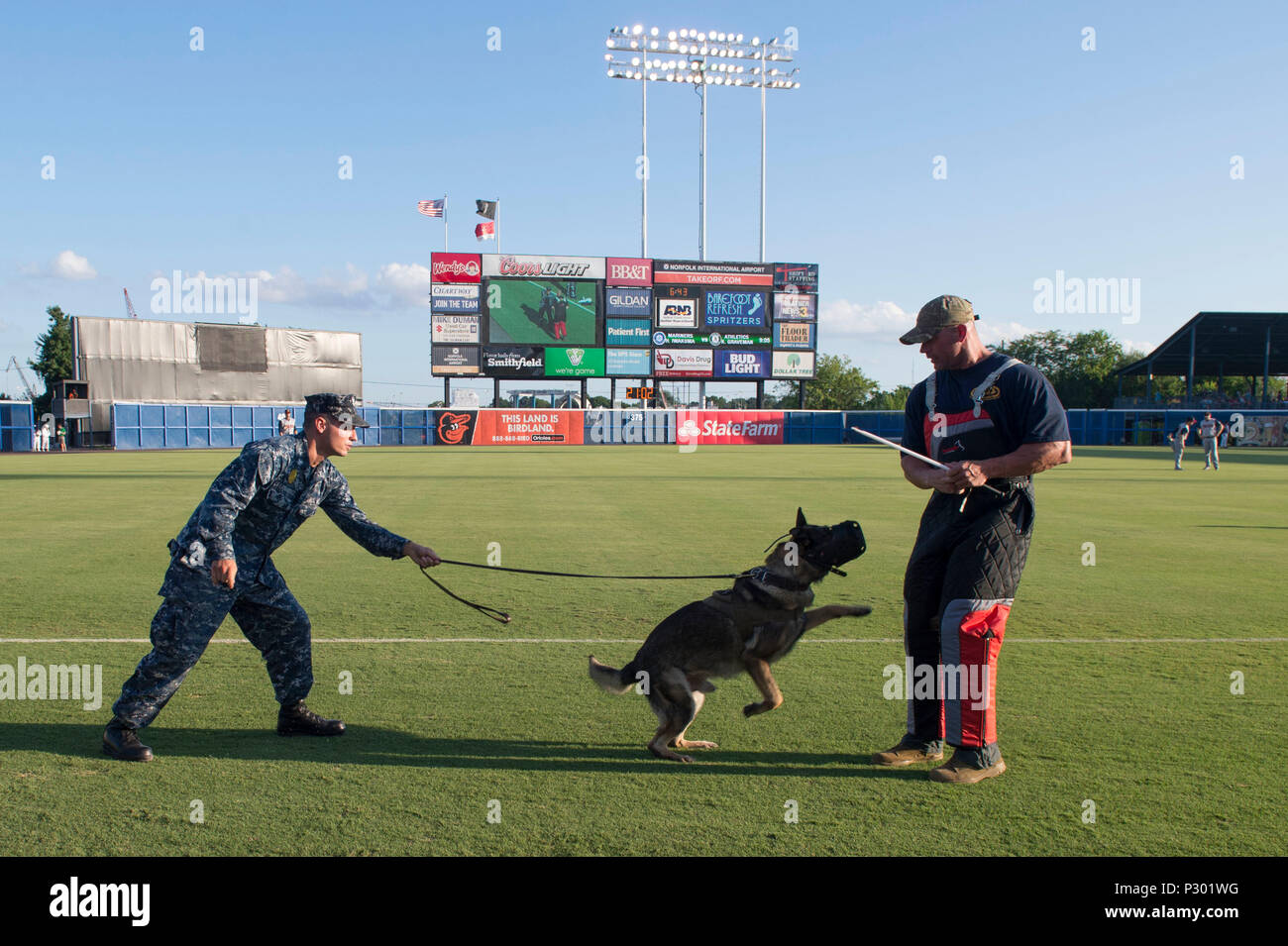 Nick webster hi-res stock photography and images - Alamy