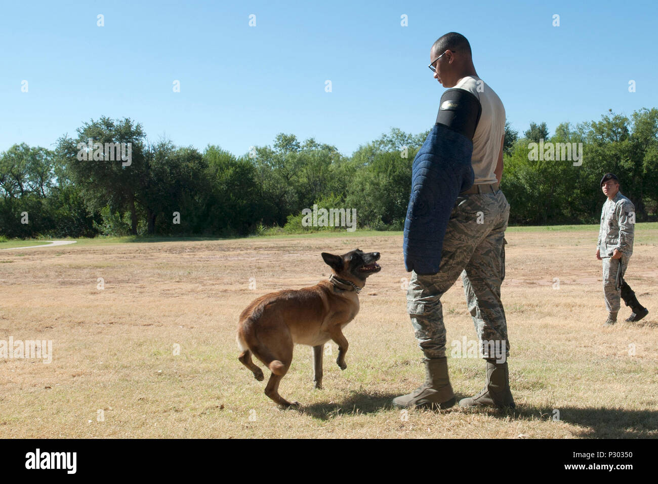 Joy, 17th Security Forces Squadron military working dog, ensures Senior ...