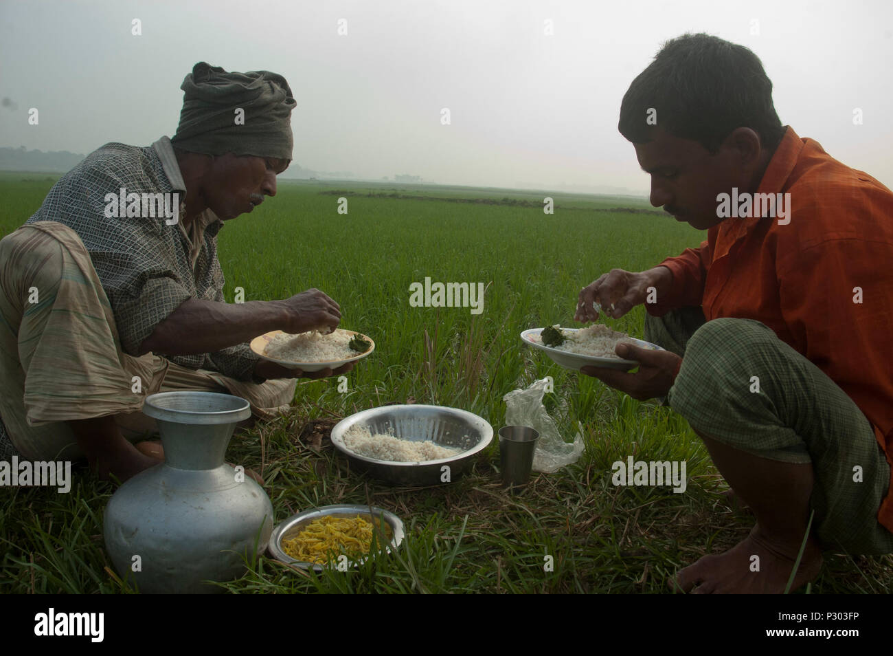 Farmers having meal in the field. Kaliganj, Gazipur, Bangladesh Stock ...