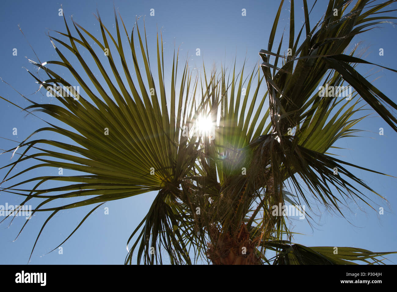 Sunlight peering hi-res stock photography and images - Alamy