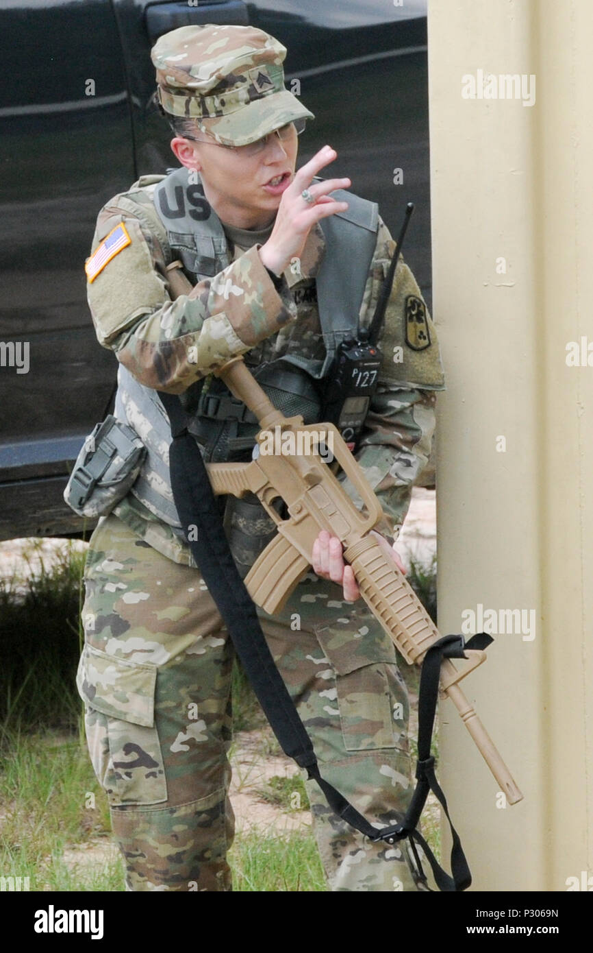 U.S. Army Sgt. Brittney Dalton from the 678th Air Defense Artillery ...