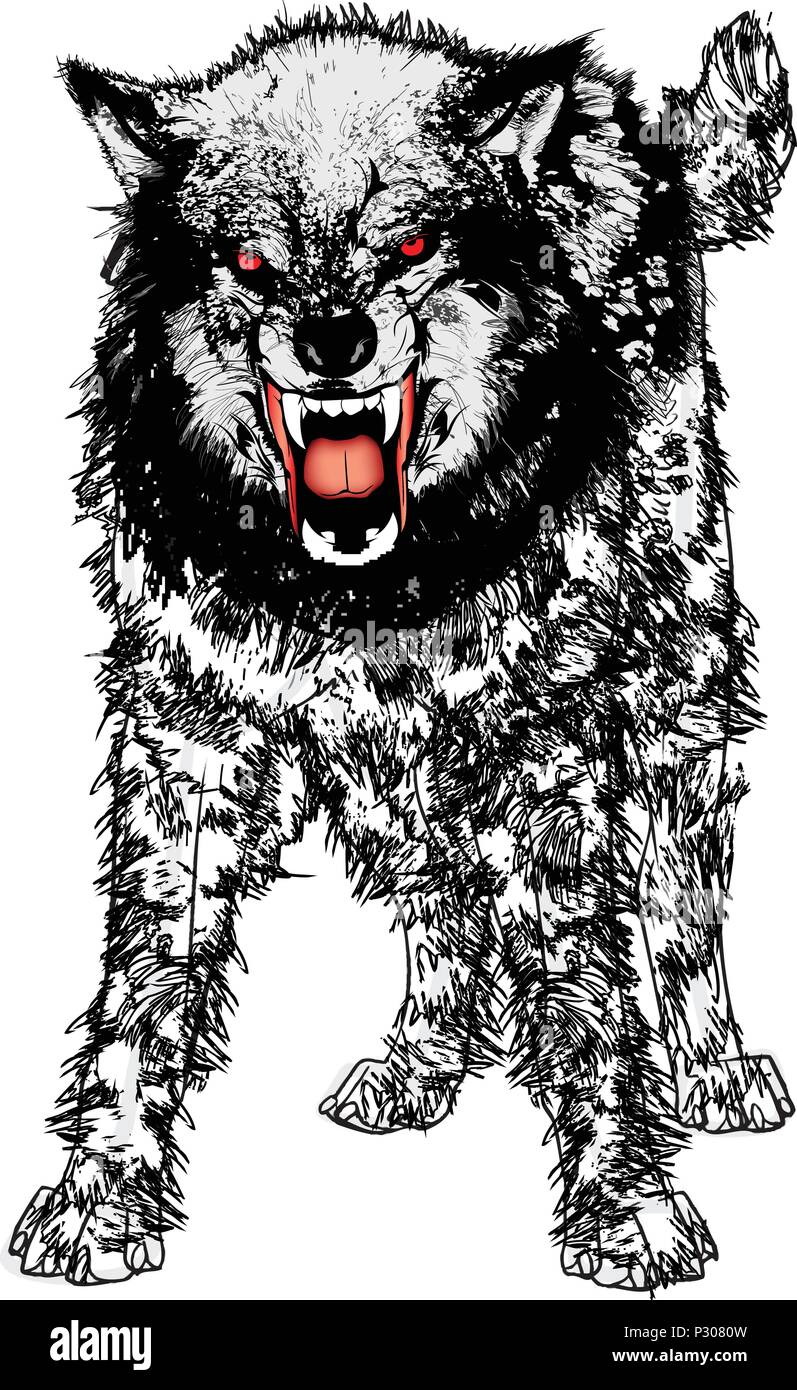 Ferocious wolf Stock Vector Images - Alamy