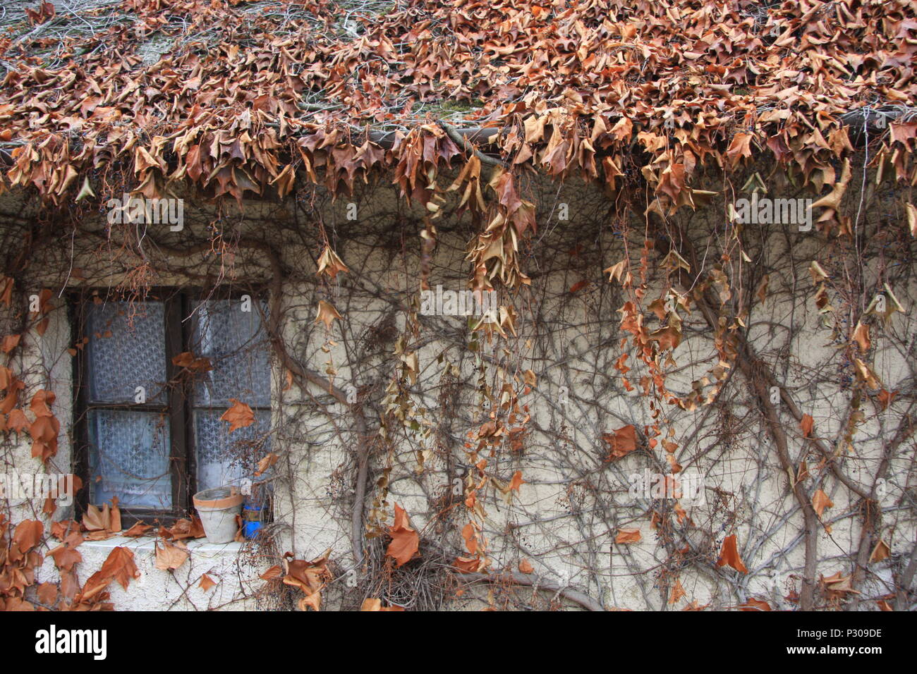 Old window cover hi-res stock photography and images - Alamy