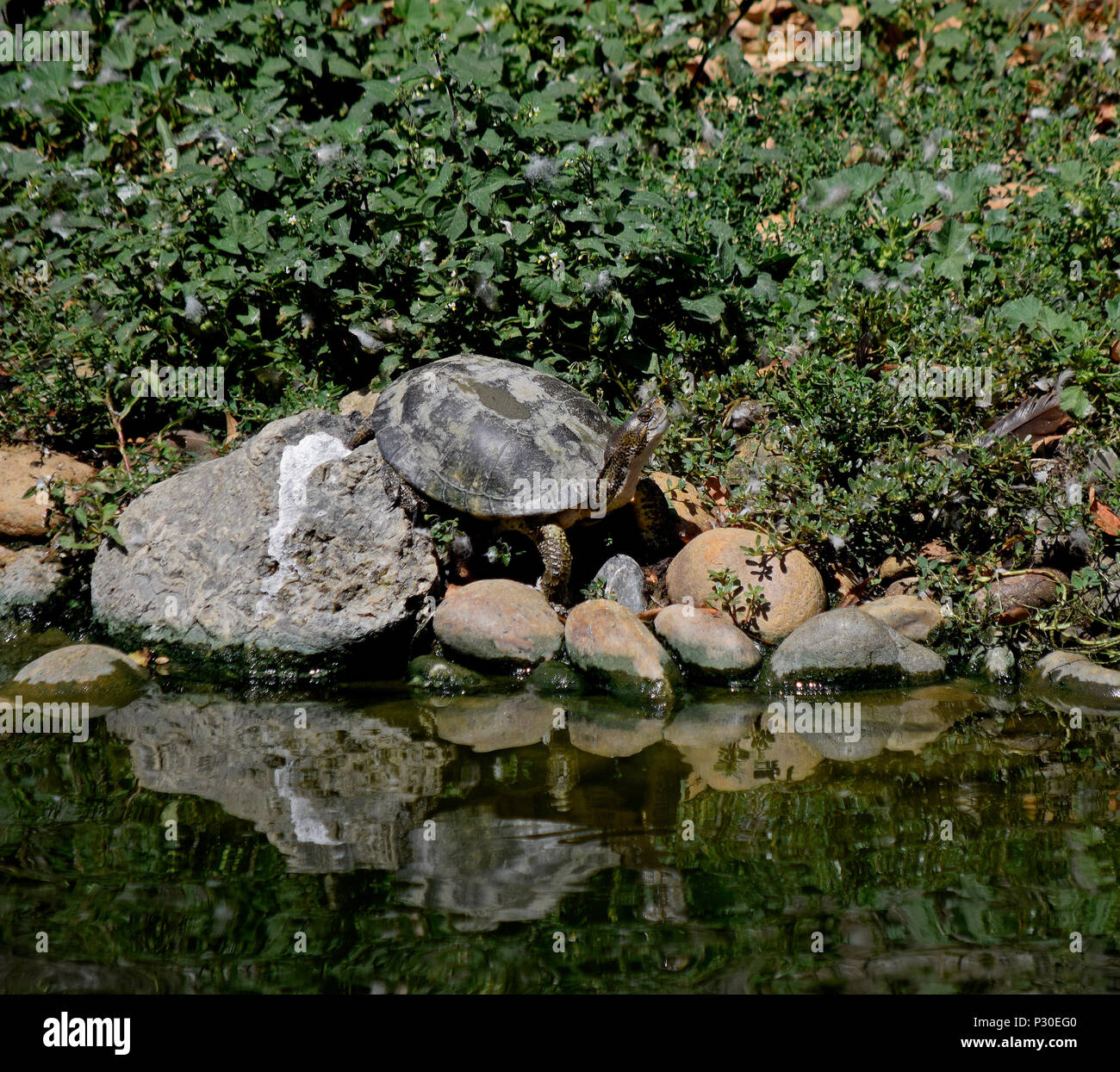 William Cann High Resolution Stock Photography and Images - Alamy