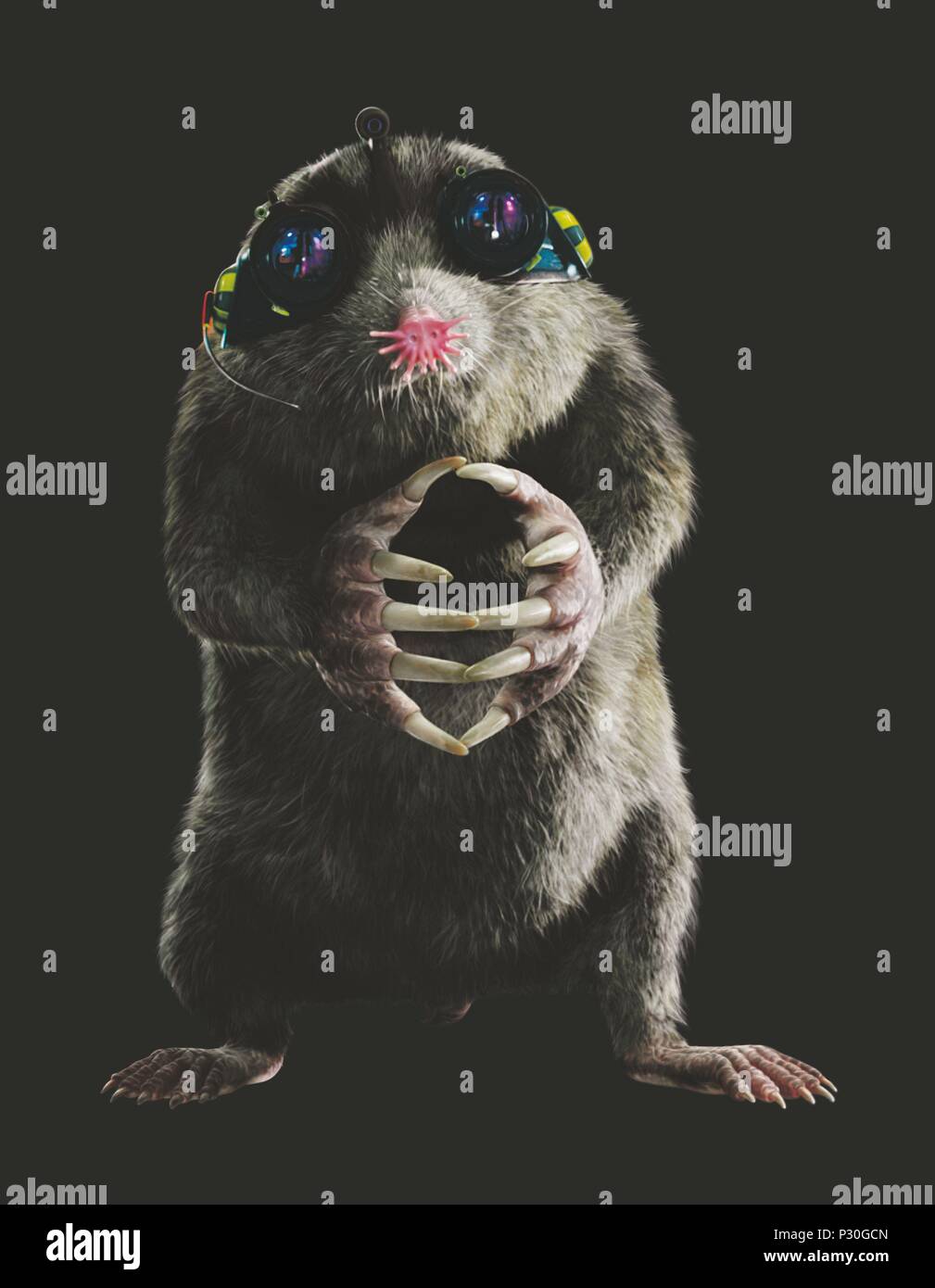 Original Film Title: G-FORCE. English Title: G-FORCE. Film Director ...