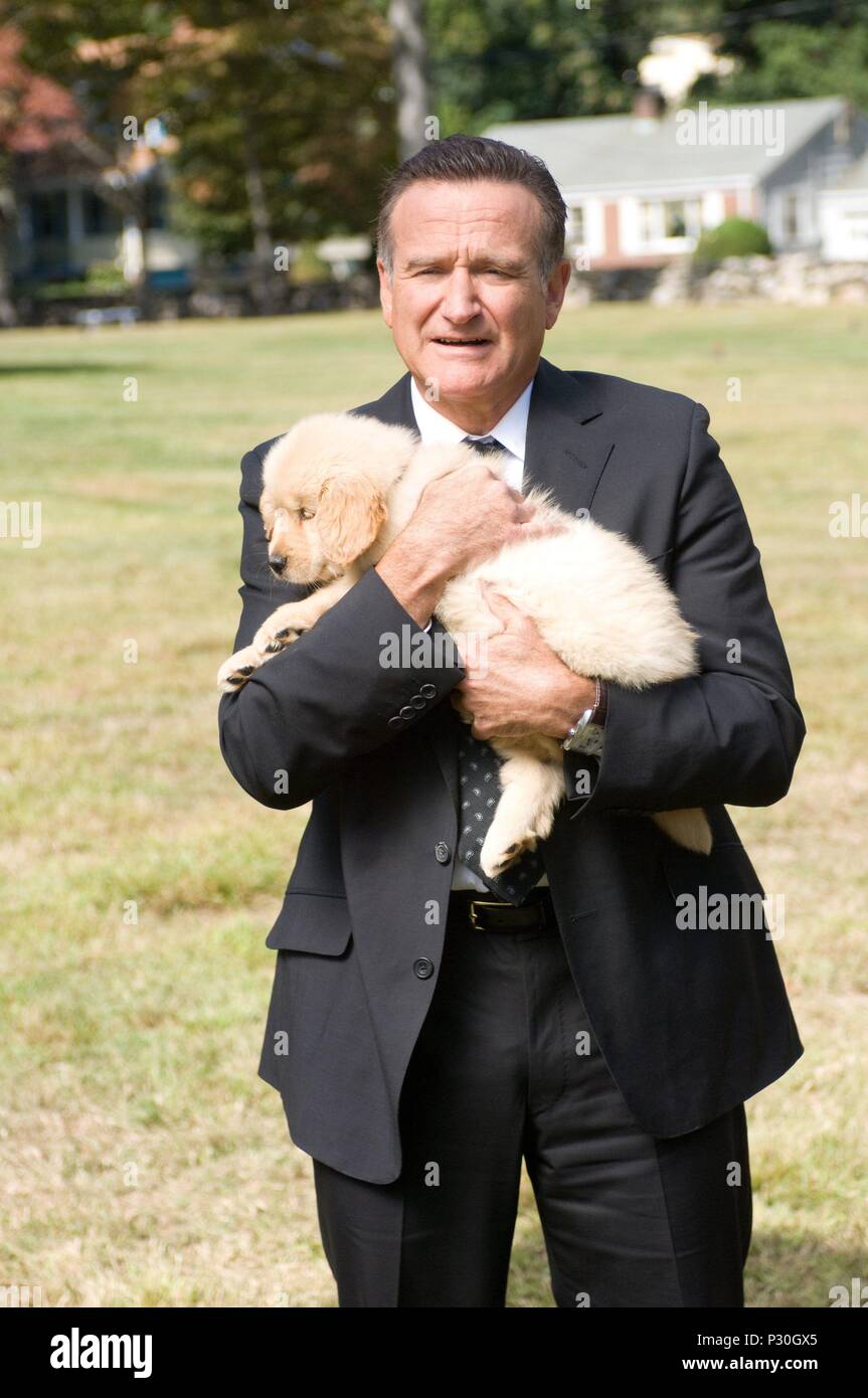 Original Film Title: OLD DOGS. English Title: OLD DOGS. Film Director ...