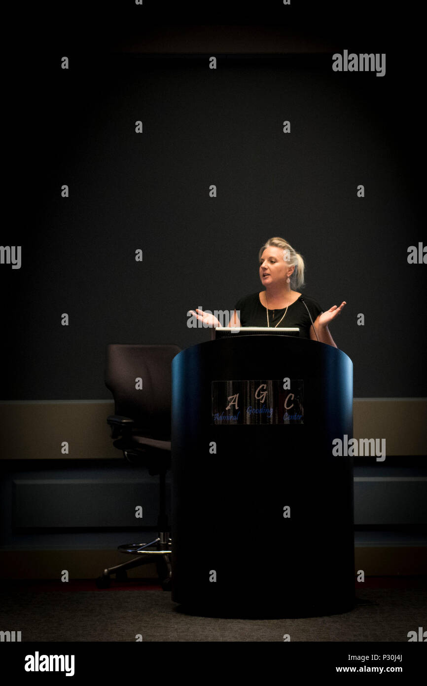 Lisa Jox, Department of the Navy Office of Civilian Human Resources ...