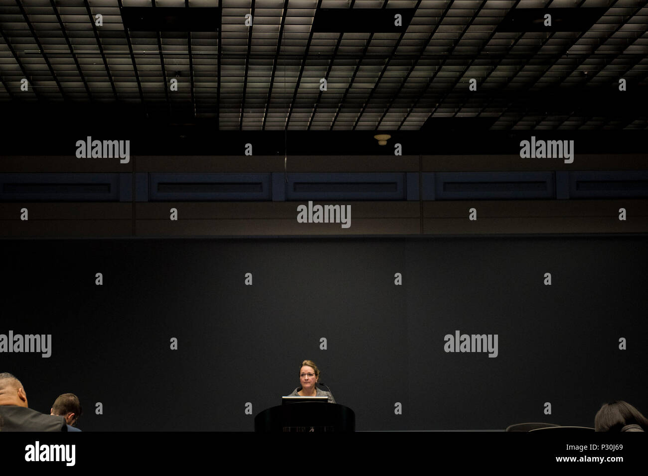 Paige Hinkle-Bowles, Deputy Assistant Secretary of the Navy for ...