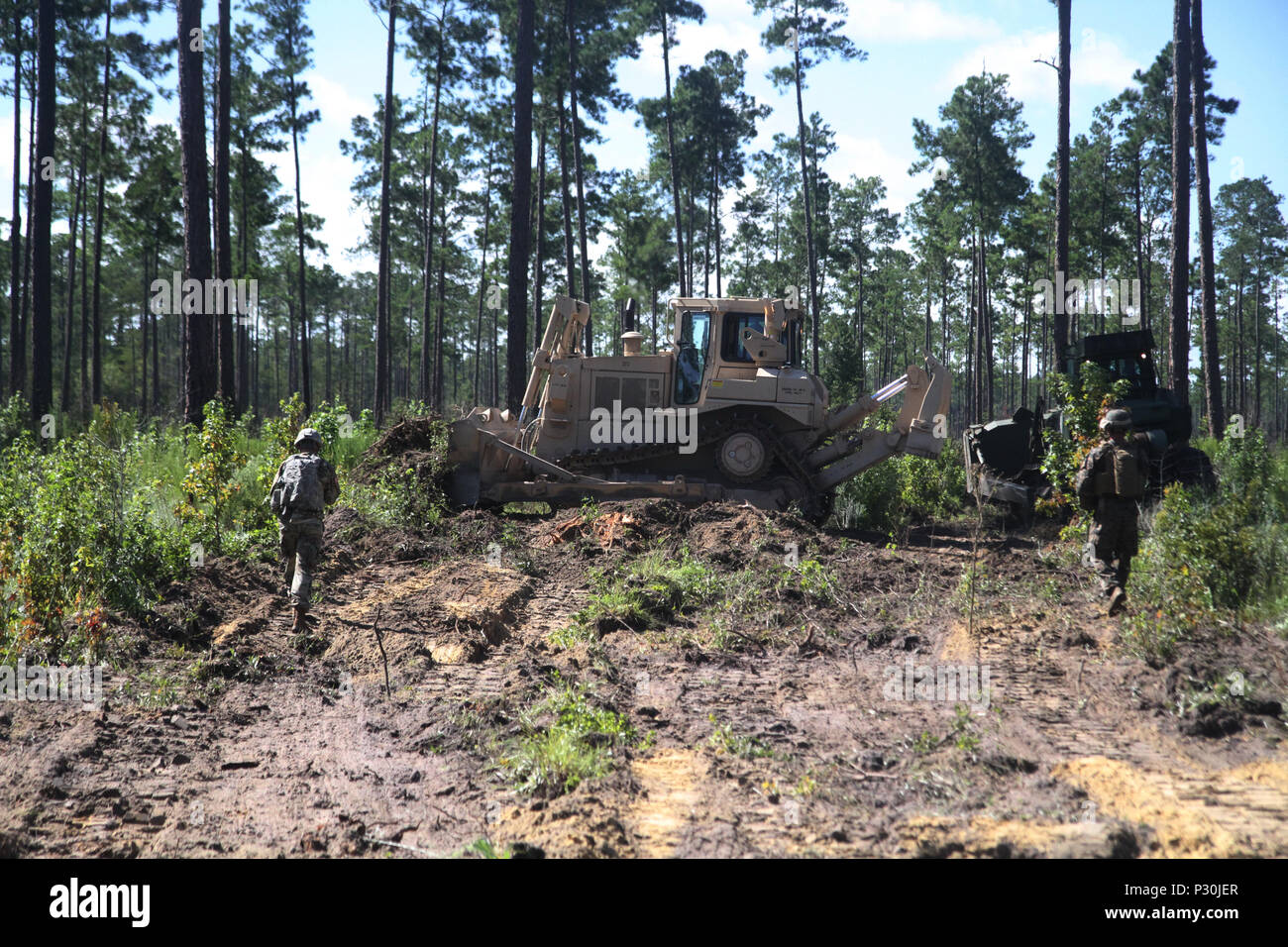 Bulldozer clearing trees hi-res stock photography and images - Alamy