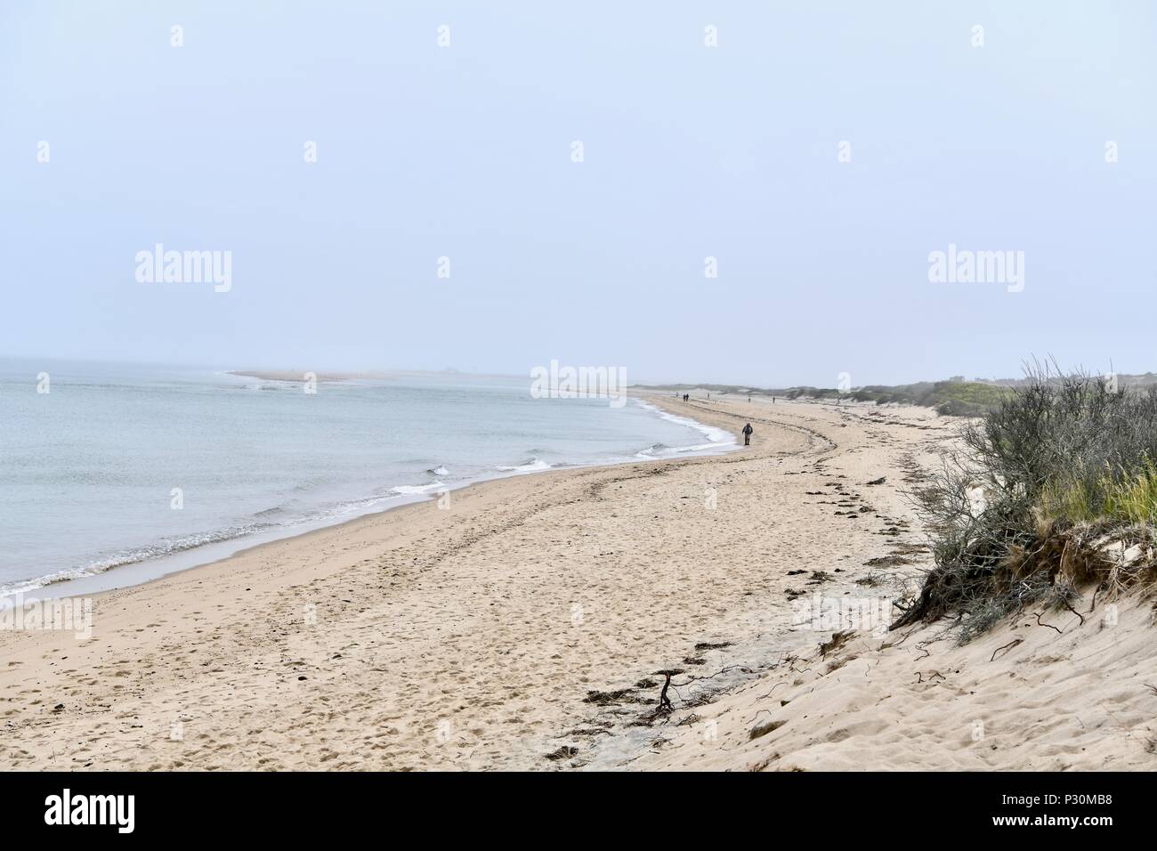 Cape Cod National Seashore, Massachusetts, USA Stock Photo - Alamy